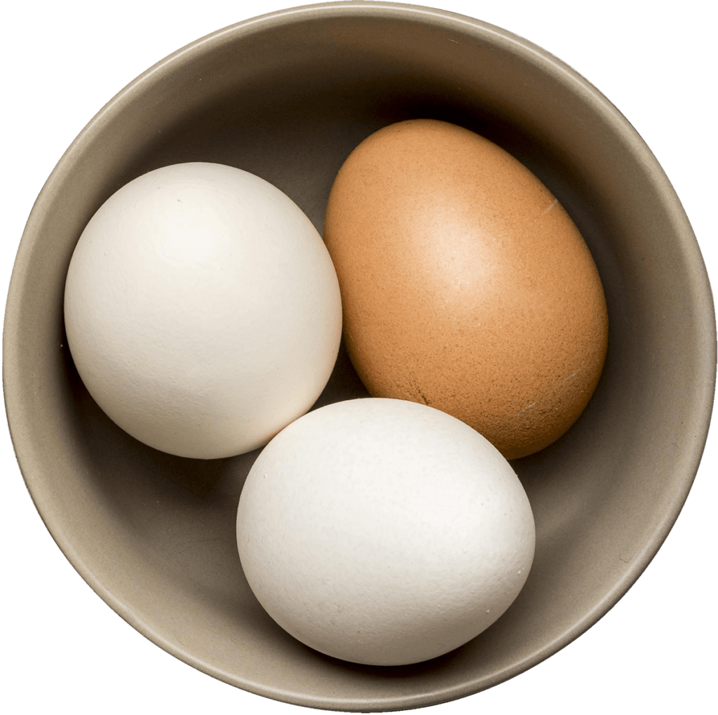 DNEVEN Spiku Specialist | Spiku Surabaya, Lapis Surabaya, Cake Surabaya ...